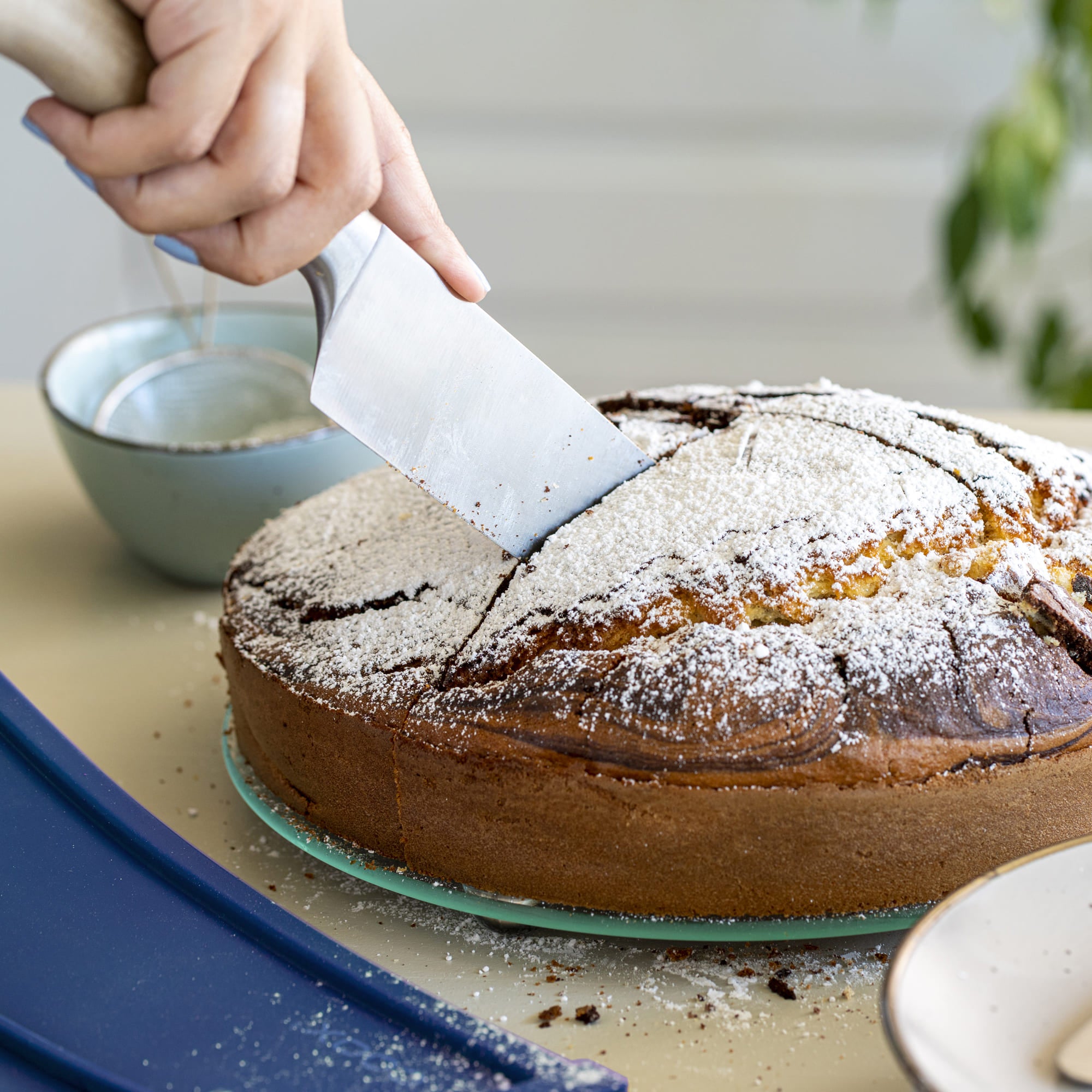 coox® Springform mit Glasplatte & Füßen 26 cm online kaufen